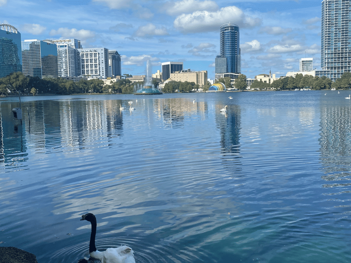 Your Complete Guide to the Best Orlando Events November 2025