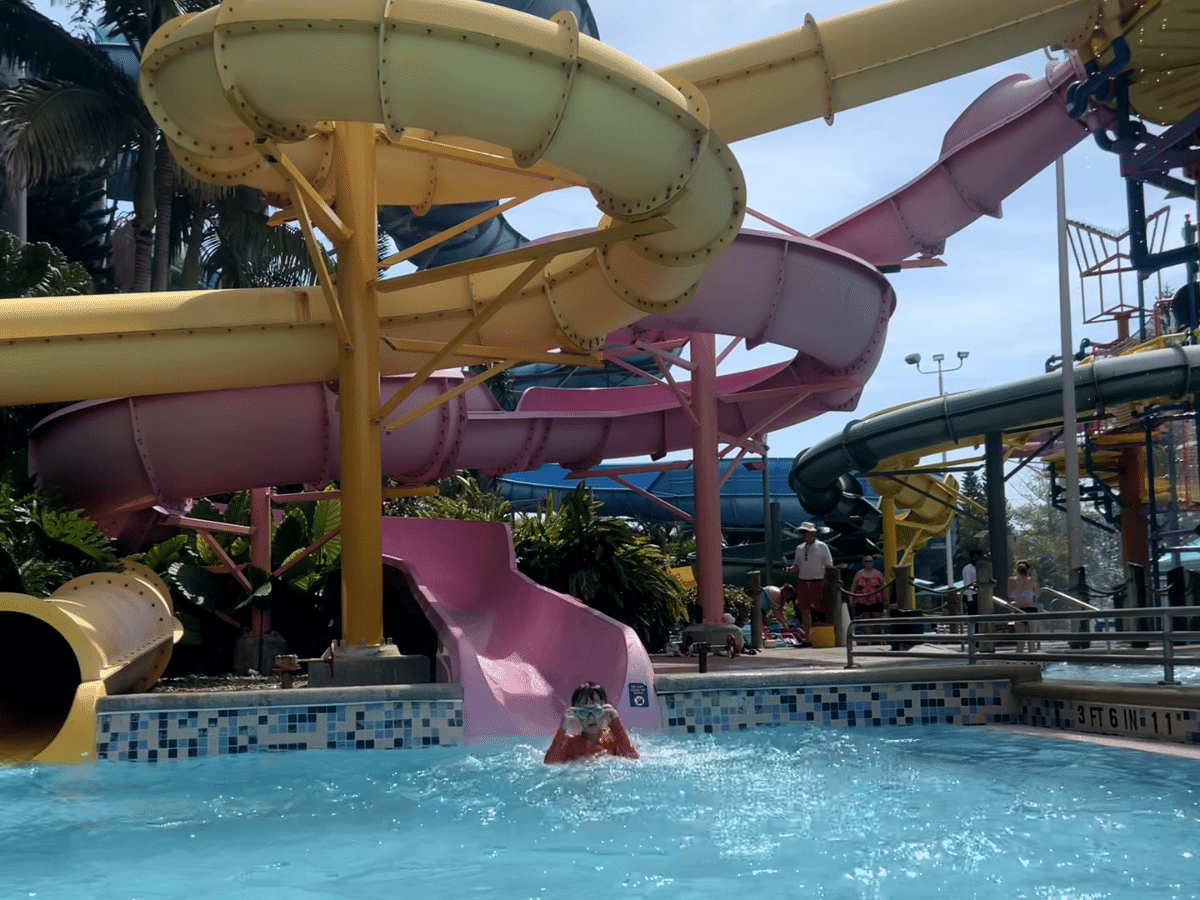 Best Things To Do For Spring Break In Orlando! - Orlando99.com